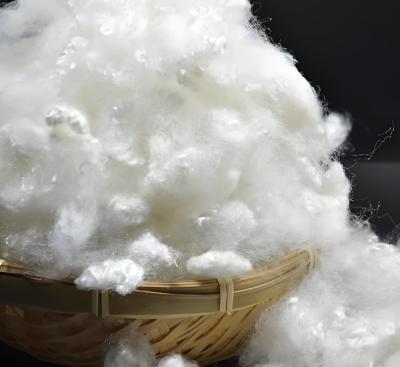 China High-Bulk Antistatic Acrylic Fiber for Knitting 3D Denier for sale