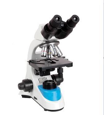 China Electrical Biologocal Microscope for sale