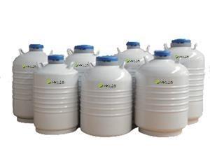 China Transport storage series liquid nitrogen tank for sale