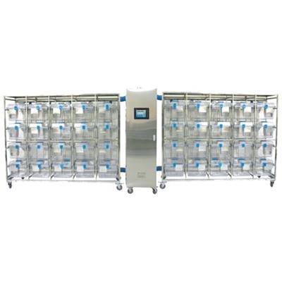 China CRG20  cages delayed two touch screen rat & guinea pig IVC for sale