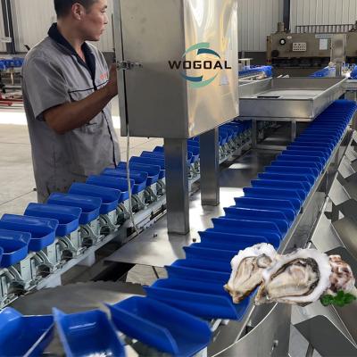 China Famous Automatic Grader Shrimp Fish Accessories Dry Weight Sorting Checking Machine Fish Seafood Grading Machine Multi Sorter Machines factory