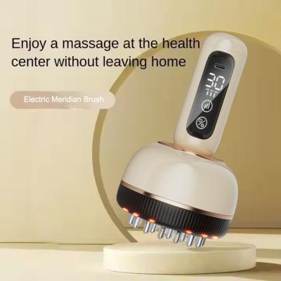 China Handheld Cellulite Slimming Massager Microcurrent 9 Levels Electric Gua Sha Tool for sale