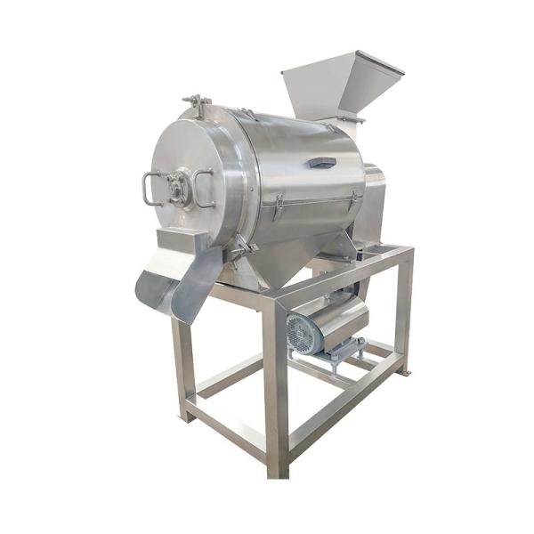 Quality Commercial Berry Stainless Stain Screw Fruit Juicer Extractor Pulp Machines for sale