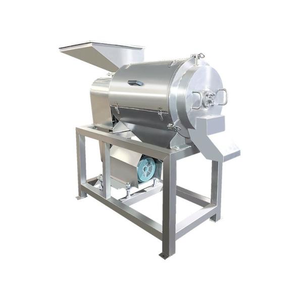Quality Commercial Berry Stainless Stain Screw Fruit Juicer Extractor Pulp Machines for sale