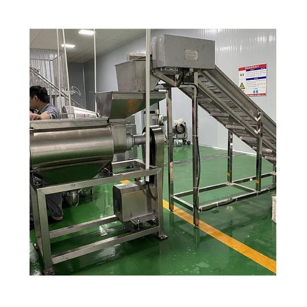 Quality Commercial Berry Stainless Stain Screw Fruit Juicer Extractor Pulp Machines for sale
