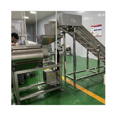 China Wholesale Factory Electric Automatic Mango Fruit Single Channel Pulping Machine for sale