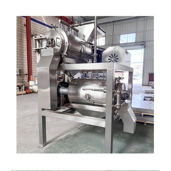Quality Industrial New Designed mango Puree Extractor destoner and Pulping Making Machine for sale