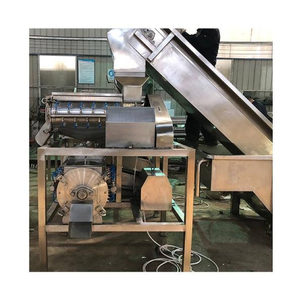Quality New Arrival Juicer Fruit Pulp Juice Cold Press Destoner Pulping Fruit Machine for sale