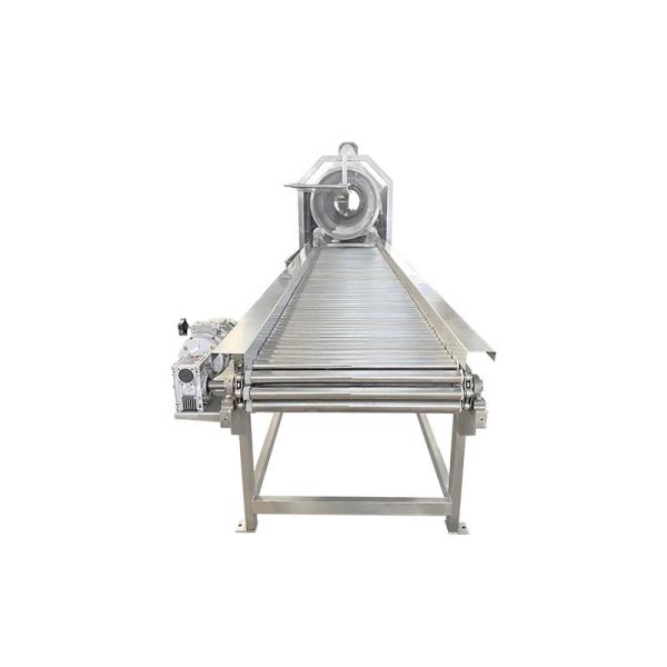 Quality Professional Custom gravity Food Grade Electric Stainless Steel Conveyor Belt for sale