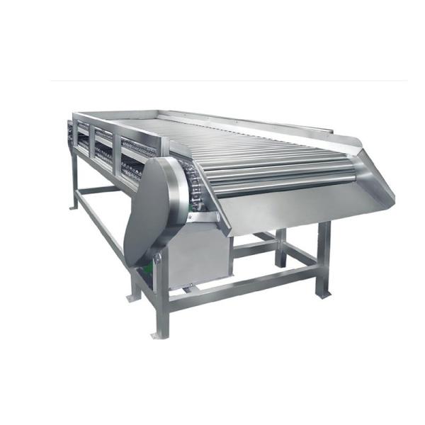 Quality Professional Custom gravity Food Grade Electric Stainless Steel Conveyor Belt for sale
