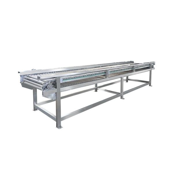 Quality Manufacturer Price Custom Speed Adjustable Motorized Stainless Steel Roller Conveyor for sale