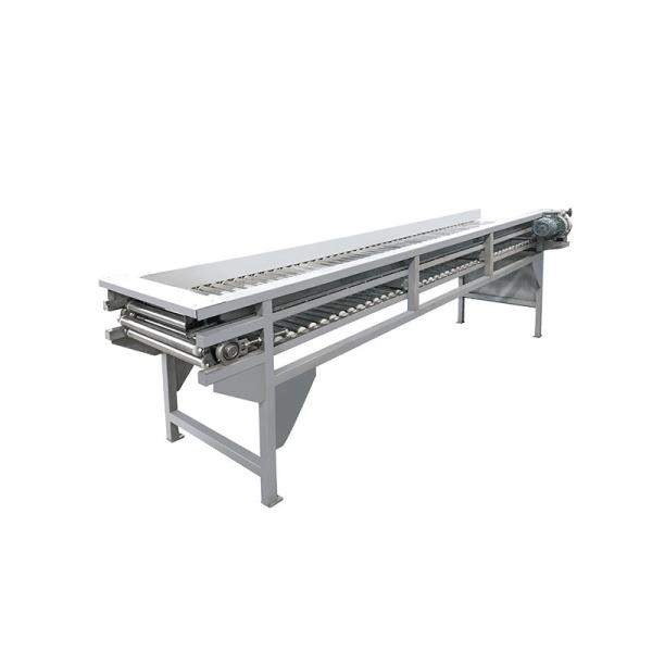 Quality Industrial OEM Automatic Heavy Duty Vegetable Processing Roller Conveyor Machine for sale