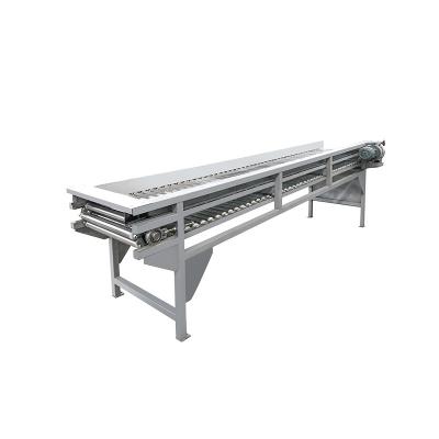 China Custom Made Automatic Pipe Stainless Steel Wire Mesh Roller Conveyor For Fruits for sale