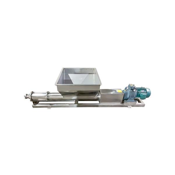Quality High Performance Food Grade Transfer G Type Stainless Steel Single Screw Pump for sale