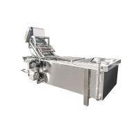 Quality Tomato processing line for sale