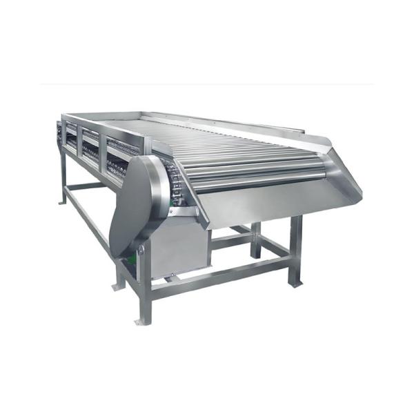 Quality High Productivity Tomato Production Line Vegetable Processing Machine Line for sale