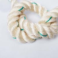 China Multifunctional 3 Strand Twisted Polypropylene Rope in 4-36mm Specifications for sale