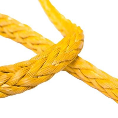 Cina Yiliyuan doppio intrecciato Uhmwpe supporto corda lunghezza personalizzata per Marine e Slings in vendita