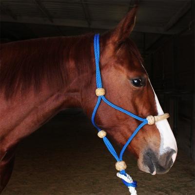 Cina YILIYUAN Adjustable Nylon Braided Rope Halter Lead per cavalli da fattoria in colore personalizzato in vendita