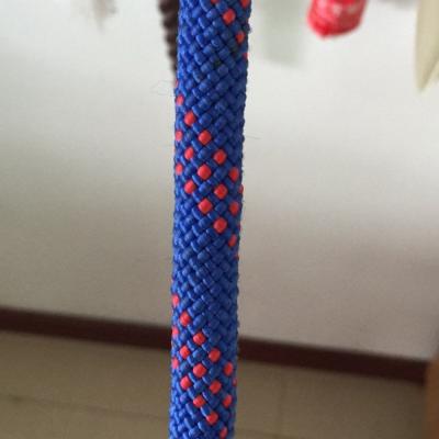 Cina Corda da arrampicata personalizzabile CE con resistenza alla temperatura fino a 120 °C Max in vendita