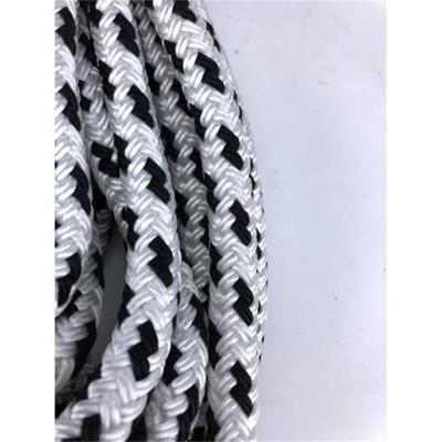 Cina Materiale PP 4-36 mm corda di nylon nera con forte resistenza ai raggi UV ed eccellente durata in vendita