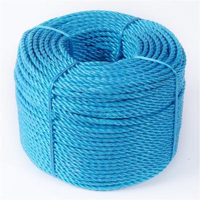Cina Materiale PP 4-36 mm corda di nylon nera con forte resistenza ai raggi UV ed eccellente durata in vendita