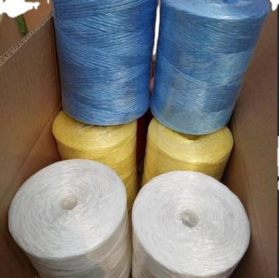 Cina Corde di plastica di paglia in PP con elevate specifiche di durata 4 mm-60 mm in vendita