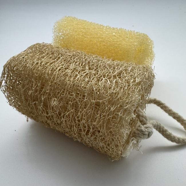 Close-up view of loofah slices showing texture