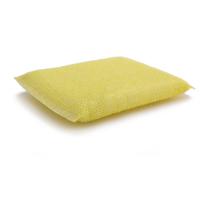 China Wire Net Kitchen Cleaning Scourer 750% High Water Absorption Mesh Dish Sponge for sale