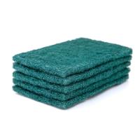 China Hygienic Nylon Scouring Pad for Kitchen Cleaning for sale
