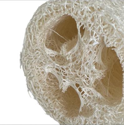 중국 천연 오징어 펄프 식기 닦기 붓 효과 가요 부엌 청소 판매용