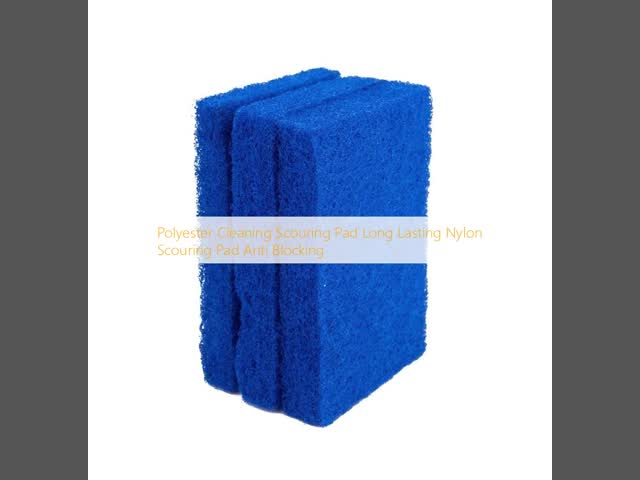 Полиэстерная чистящая протирающая прокладка Долговечная нейлоновая протирающая прокладка Антиблокировка