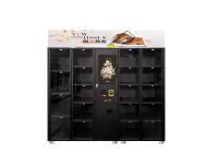 China 22 Inch Touch Screen Locker Vending Machine Smart System 110V 220V for sale