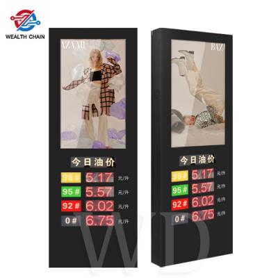 Cina Multi 49