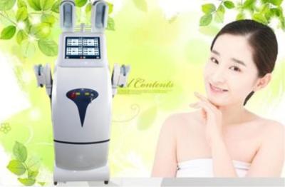 Cina Corpo di Cryolipolysis del CE che dimagrisce il dispositivo del grasso della gelata di Cryo dell'attrezzatura in vendita