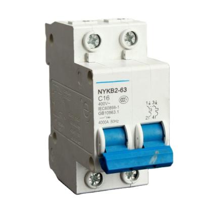 China Micro circuit breaker 230V/400V 2Poles Electrical switch  DZ47 for sale