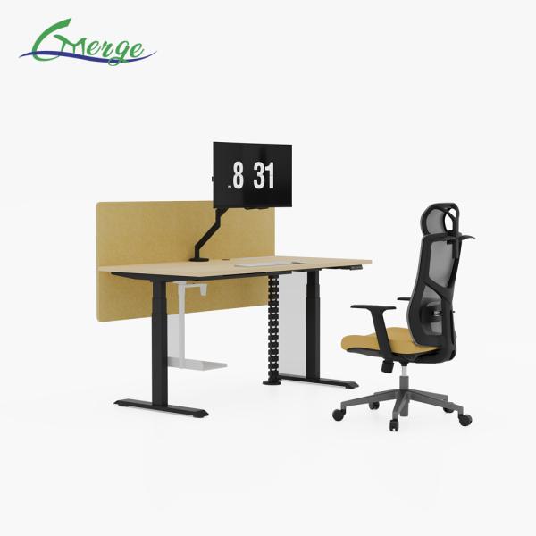 Quality Modern Work Office Desk with Cable Management Uplift Standing Desk 355 Lbs for sale