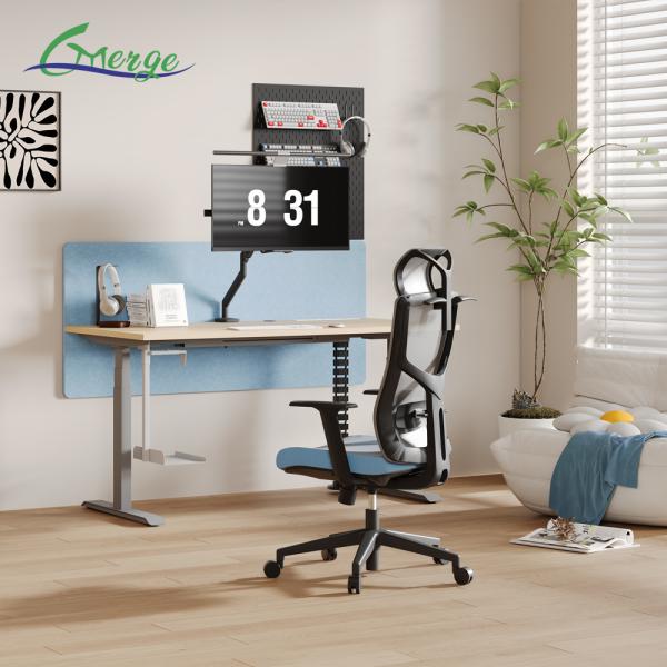 Quality Modern Work Office Desk with Cable Management Uplift Standing Desk 355 Lbs for sale