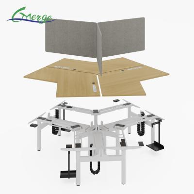 China Customized Size Uplift Standing Desk Assembly Required 355 Lbs Weight Capacity Customizable for sale