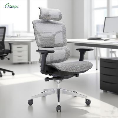 China Factory Wholesale High Quality Promotional Black Swivel Staff Reception Ergonomic Mesh Office Desk Chair With Lumbar Support for sale