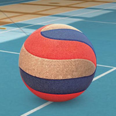 Cina OEM Natural Cork Volleyball Ball Wear Resistance Eco Friendly Printing in vendita