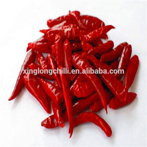 Chili Red Pepper Price secco 1 chilogrammo