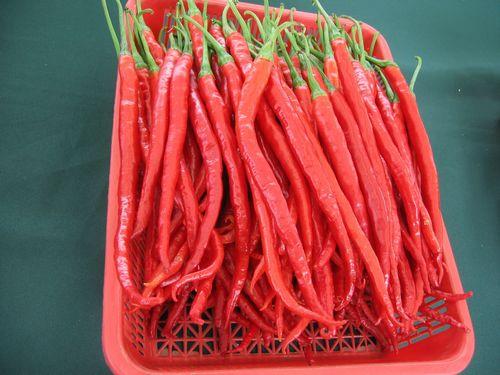 Épices de matière première de poivron rouge pour l'huile épicée de piments