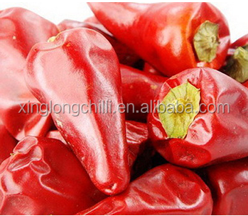 Low price freshly dried small red pepper pods per kg