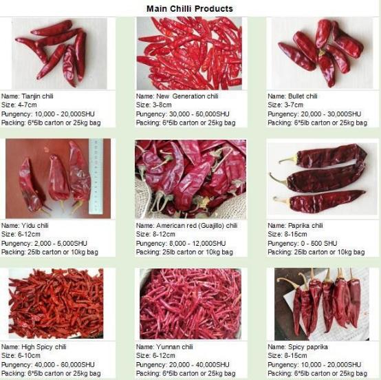 Jinta Chili Peppers The Perfect Ingredient for Hot Pot Hot Sauce and Spicy Snacks