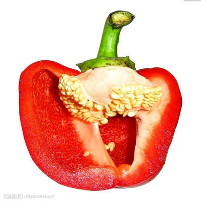 Cina Un peperoncino rosso ibrido del grado F1 semina Paprika Pepper dolce 15000SHU in vendita