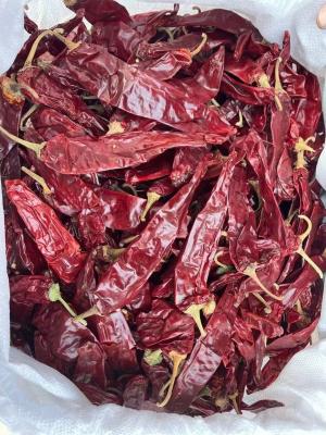 Cina Yidu secco piccante Chili Peppers Dry Cool Place rosso in vendita