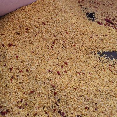 Cina Chili Peppers High In Vitamin secco cinese lungo C - ingredienti naturali in vendita