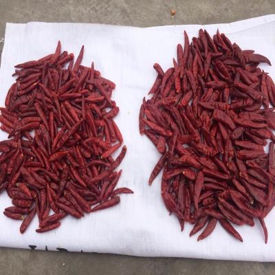 China 100g Tianjin Dried Red Chilies Spicy Room Temperature for sale
