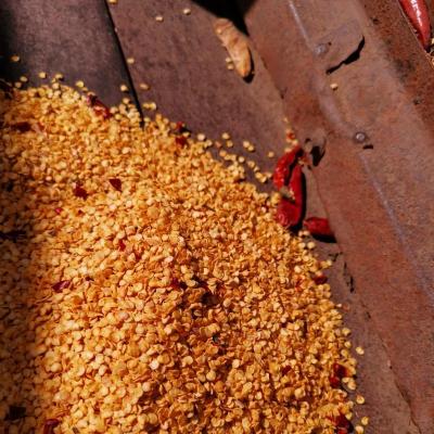 Cina Il peperoncino rosso rosso croccante di Guajillo semina 1% Max Impurity 15000SHU in vendita